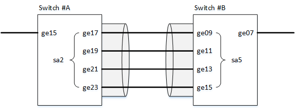 SWP1 Series Technical Data (Basic Functions)